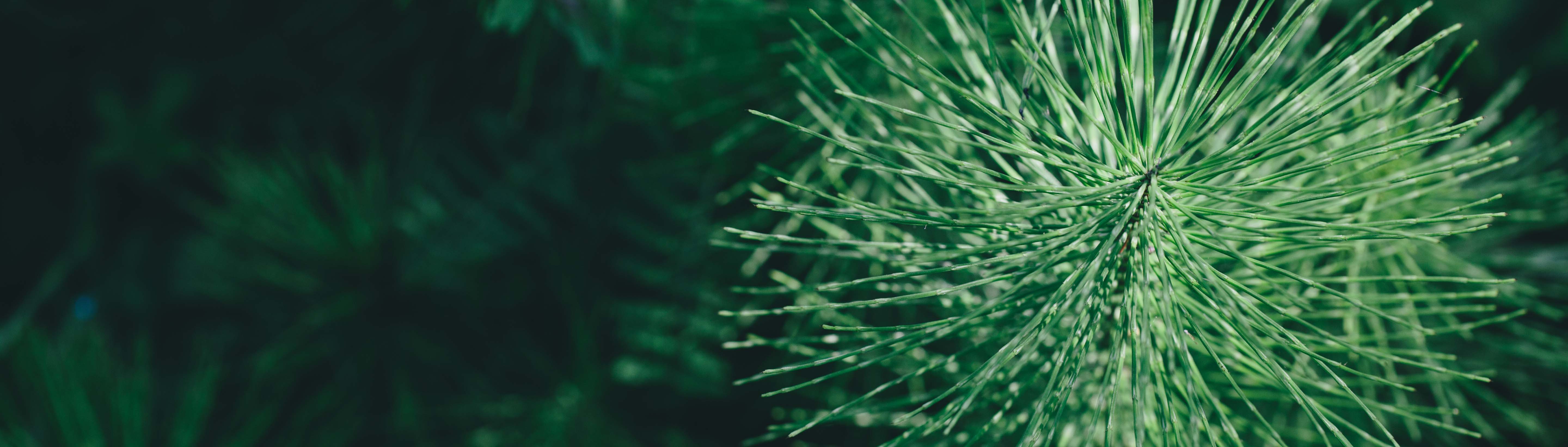 Walki - Oji Holdings has completed the acquisition of Walki Group